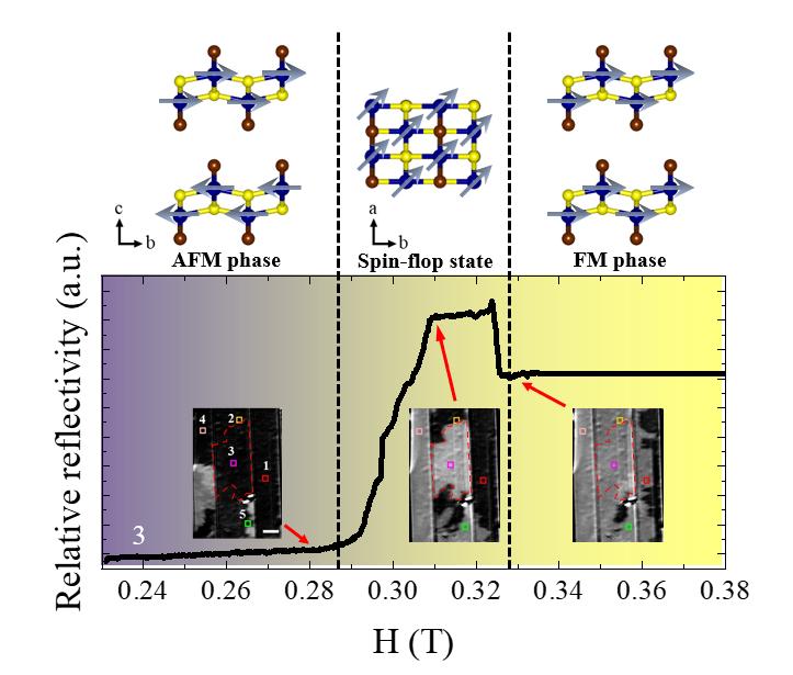 【聚焦“双一流”】我院杨蒙蒙教授在二维反铁磁CrSBr磁畴成像研究方面取得新进展